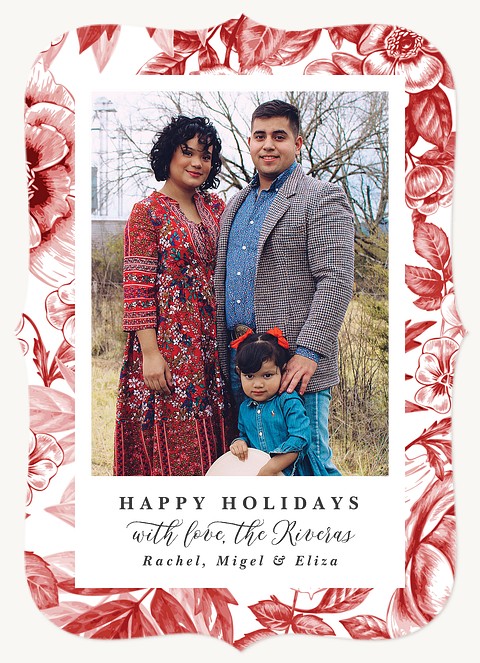 Holiday Toile | Personalized Holiday Cards
